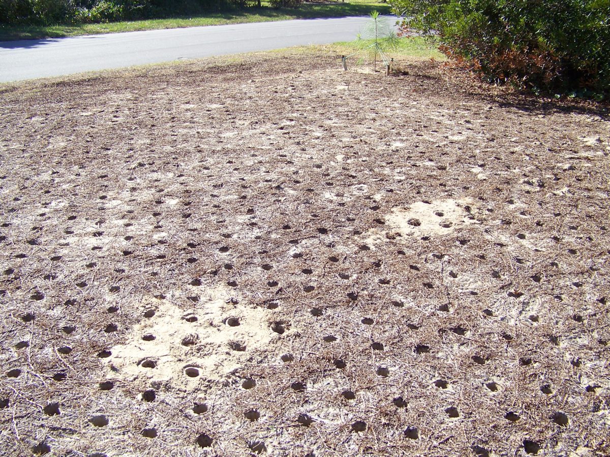 Plugging in Sand - A Customer Testimonial | ProPlugger