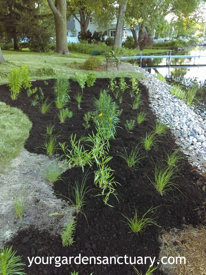 A (mostly) Native Perennial Plug Planting Twelve Months Later by Jim ...