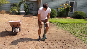 Planting Grass Plugs from Sod | ProPlugger