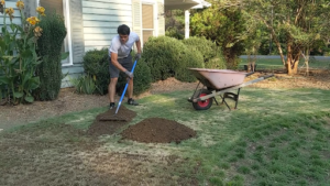 How to plant Zoysia grass plugs (with video) | ProPlugger