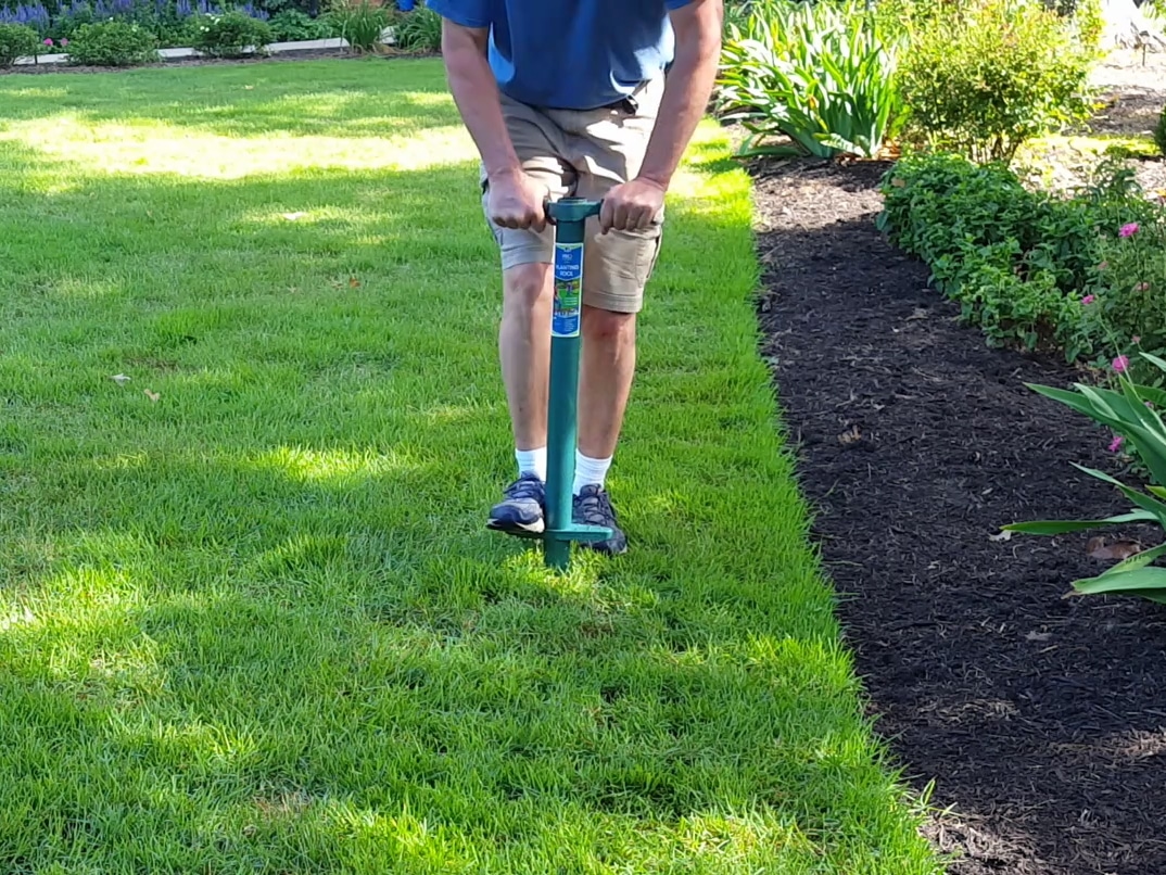 How To Repair Bare Spots in Your Lawn with the ProPluggger (with video ...